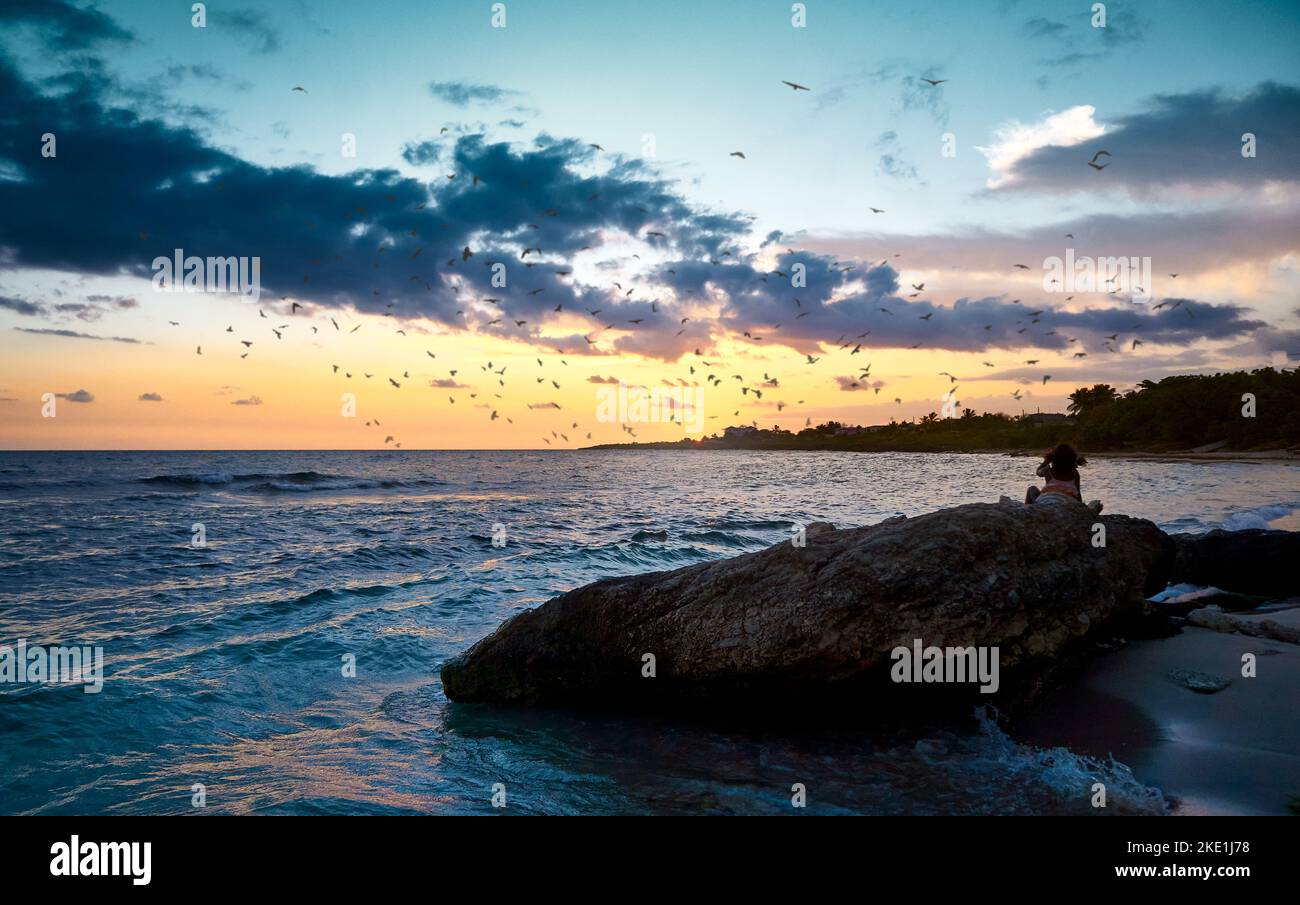 Most beautiful sunset of the beach with the setting sun Stock Photo - Alamy