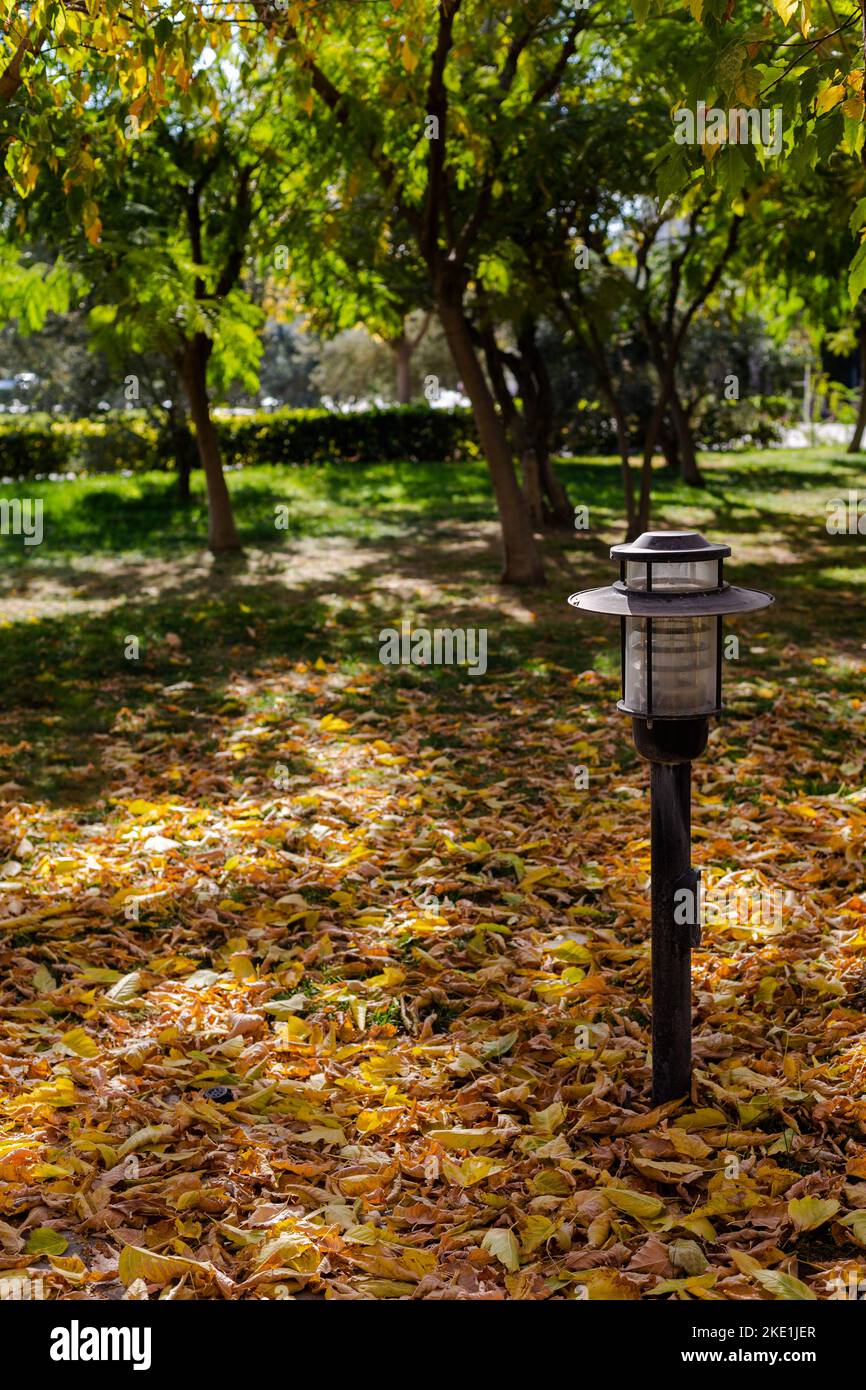 The walk falling leaves hi-res stock photography and images - Alamy