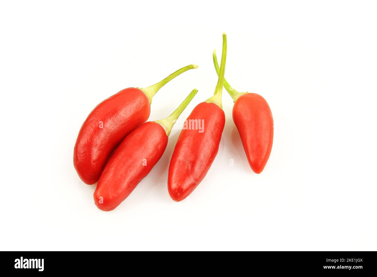 Small organic homegrown chilli peppers isolated on white background ...