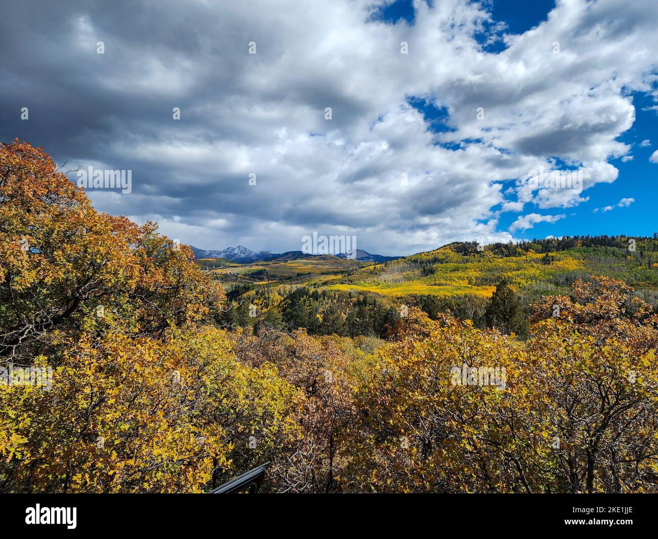 The beautiful autumn colors in Colorado Stock Photo - Alamy