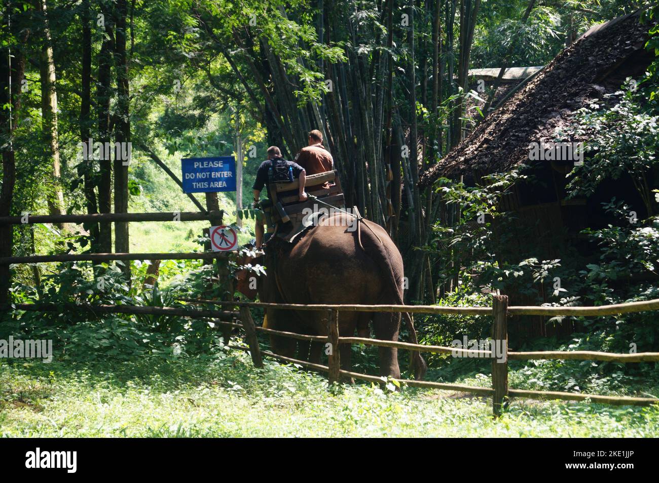 Two men on an elephant enter a forest with a sign saying "Please do not ...