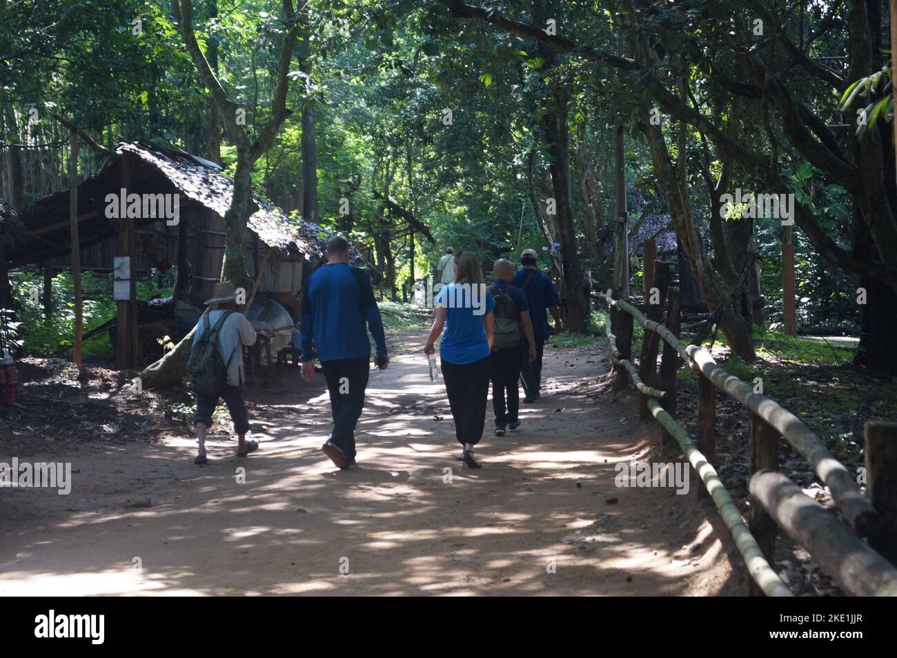 A group of people walking on a path with large trees leading to the ...