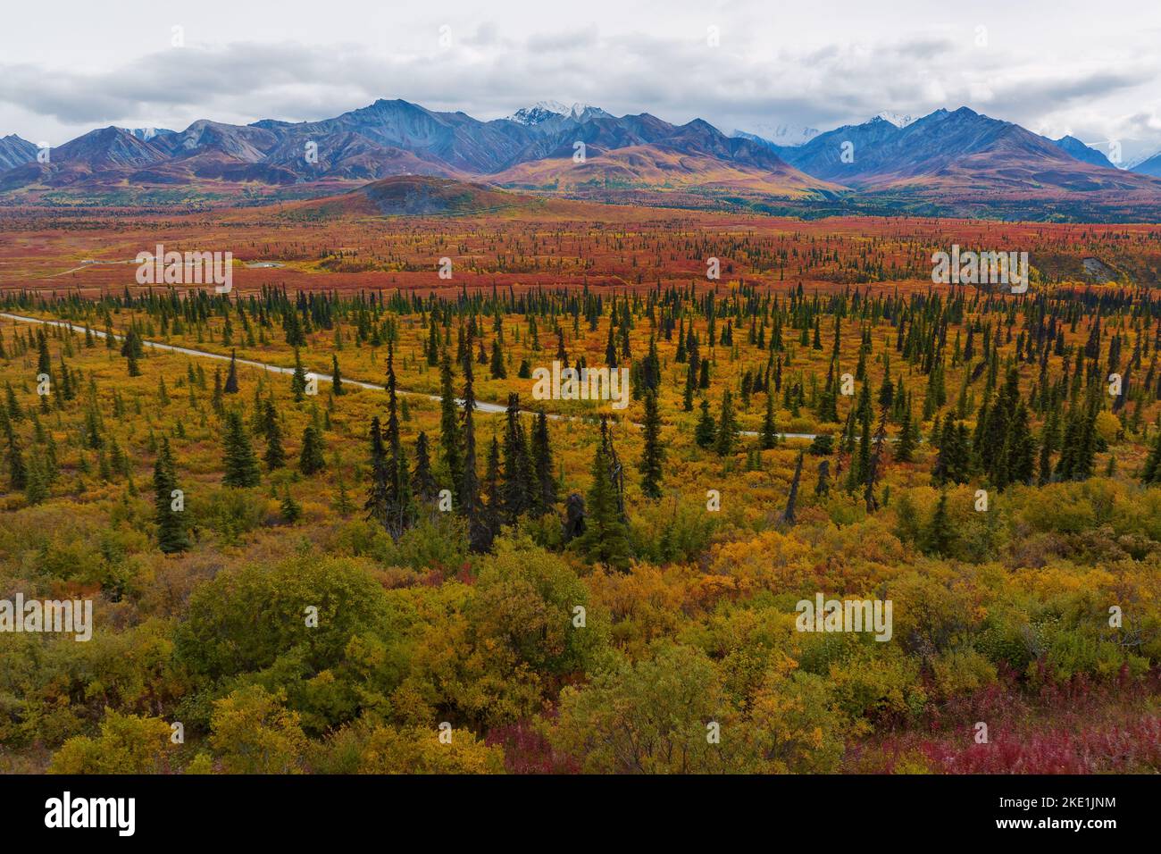 A beautiful scenery of autumn tundra on the background of mountains in ...