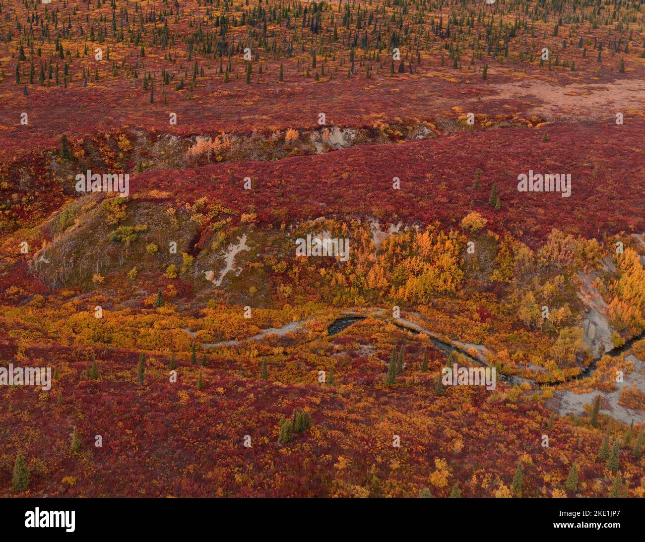 A beautiful scenery of autumn tundra on the background of hills in ...