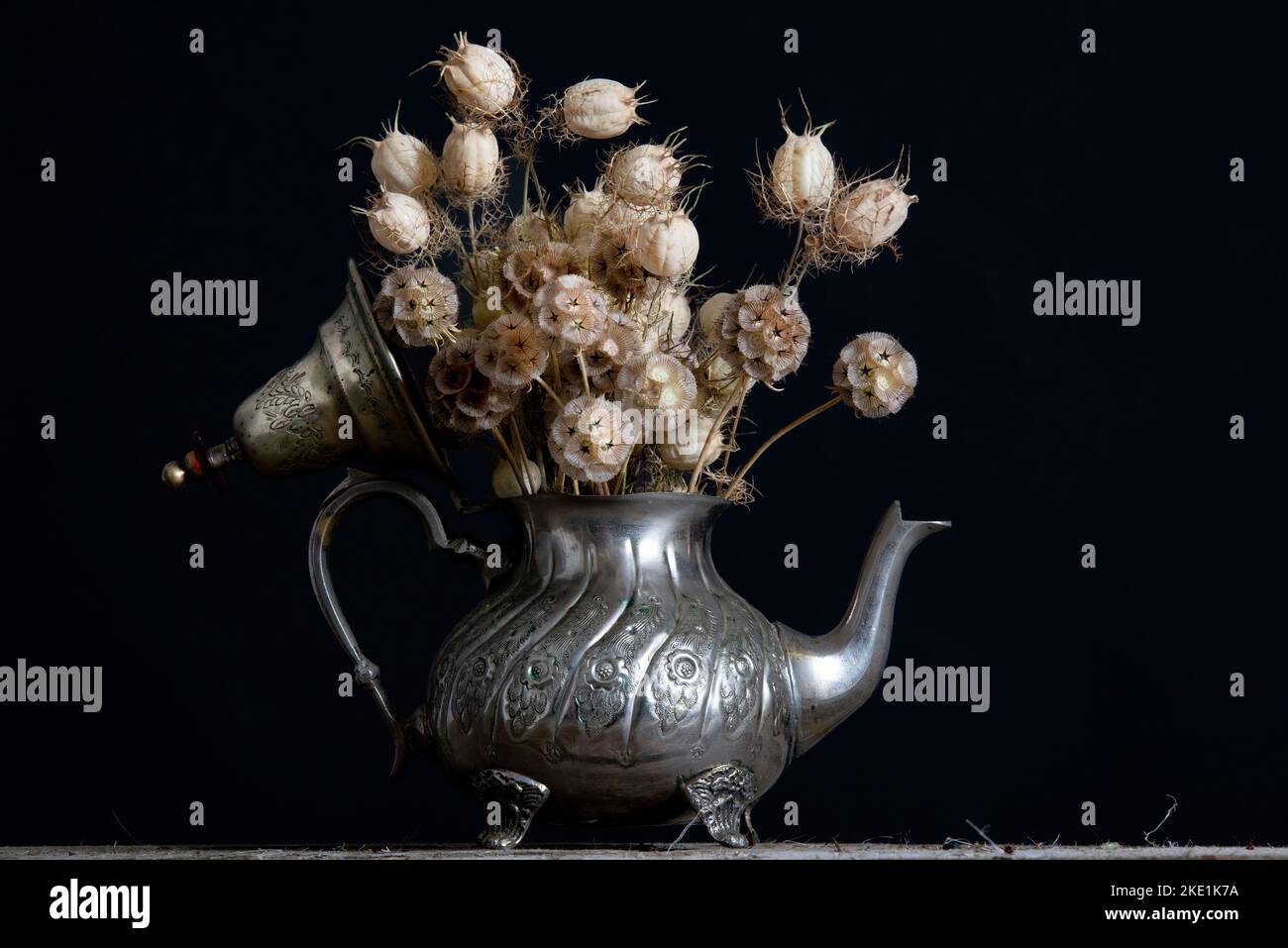 Scabiosa stellata seed hi-res stock photography and images - Alamy