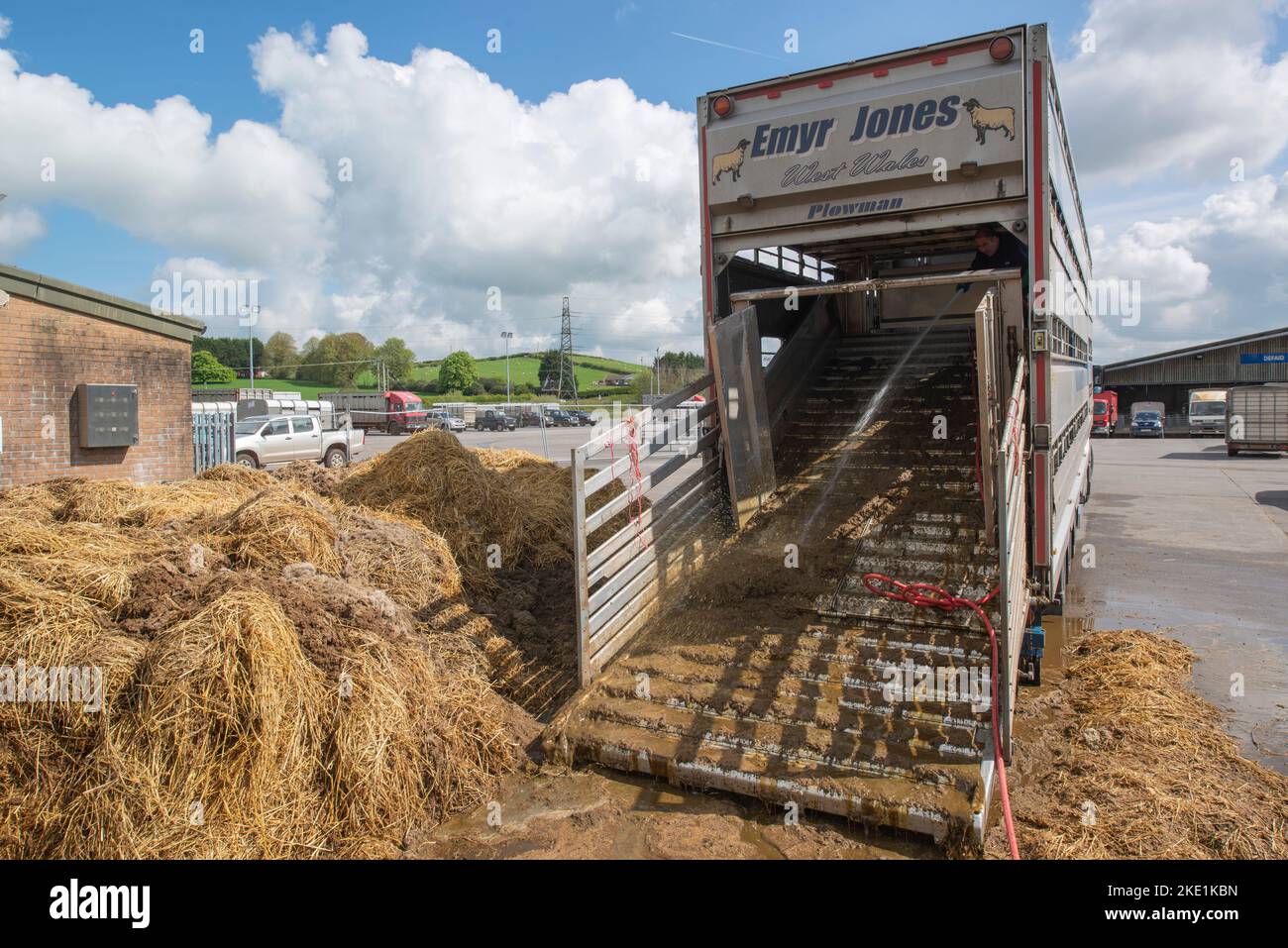 Washing down and disinfecting trailers used to transport livestock at ...
