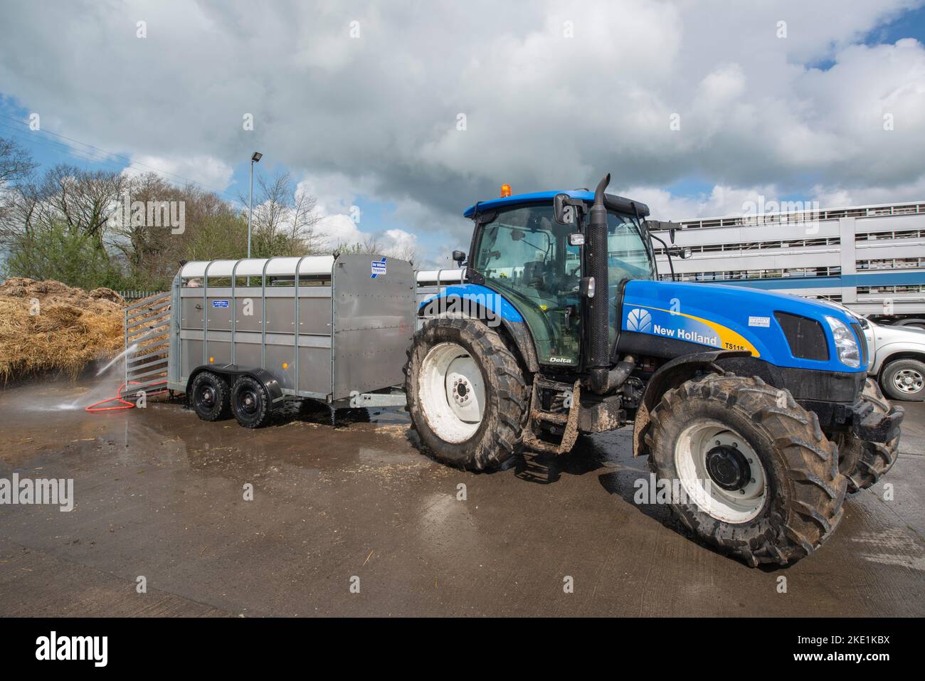 Washing down and disinfecting trailers used to transport livestock at ...