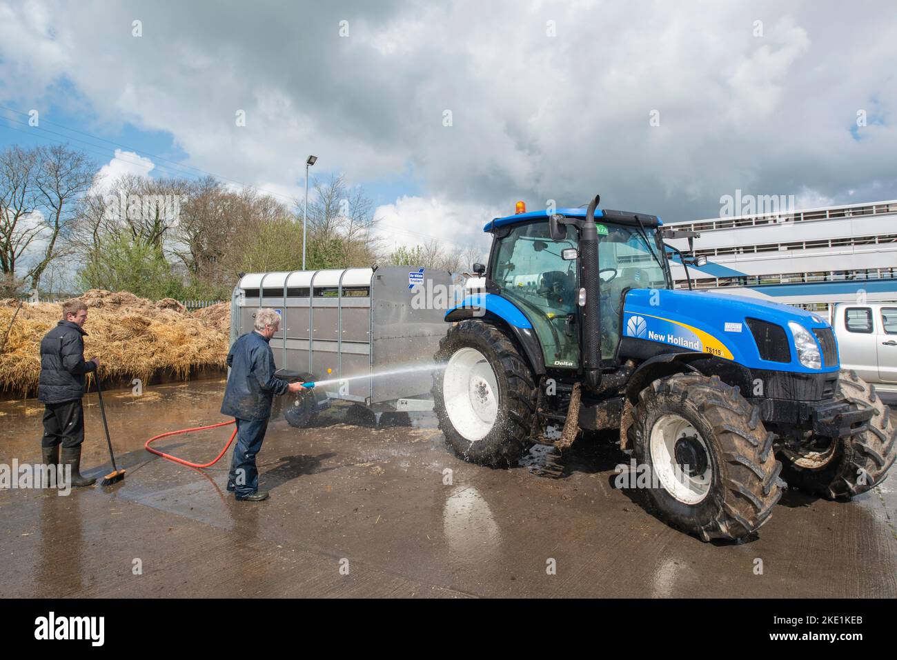 Washing down and disinfecting trailers used to transport livestock at ...