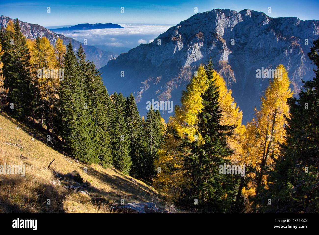 The tall peaks of the mountains on a clear day Stock Photo - Alamy