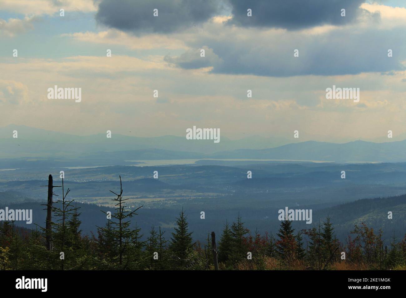 A beautiful view of hills covered in trees with a blue sky background ...