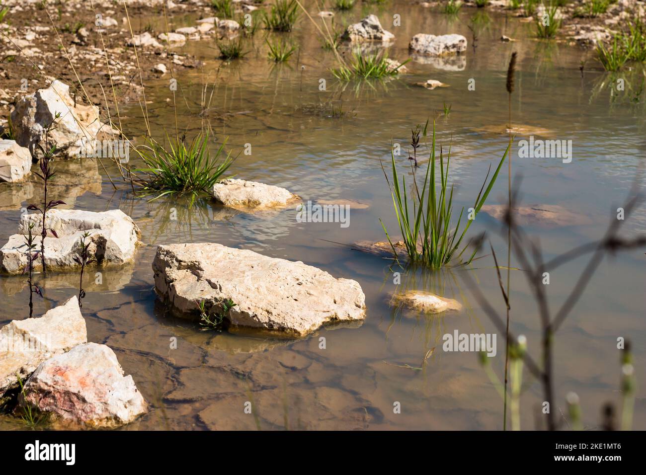 Pieces of white marble-like limestone in water at the site of a ...