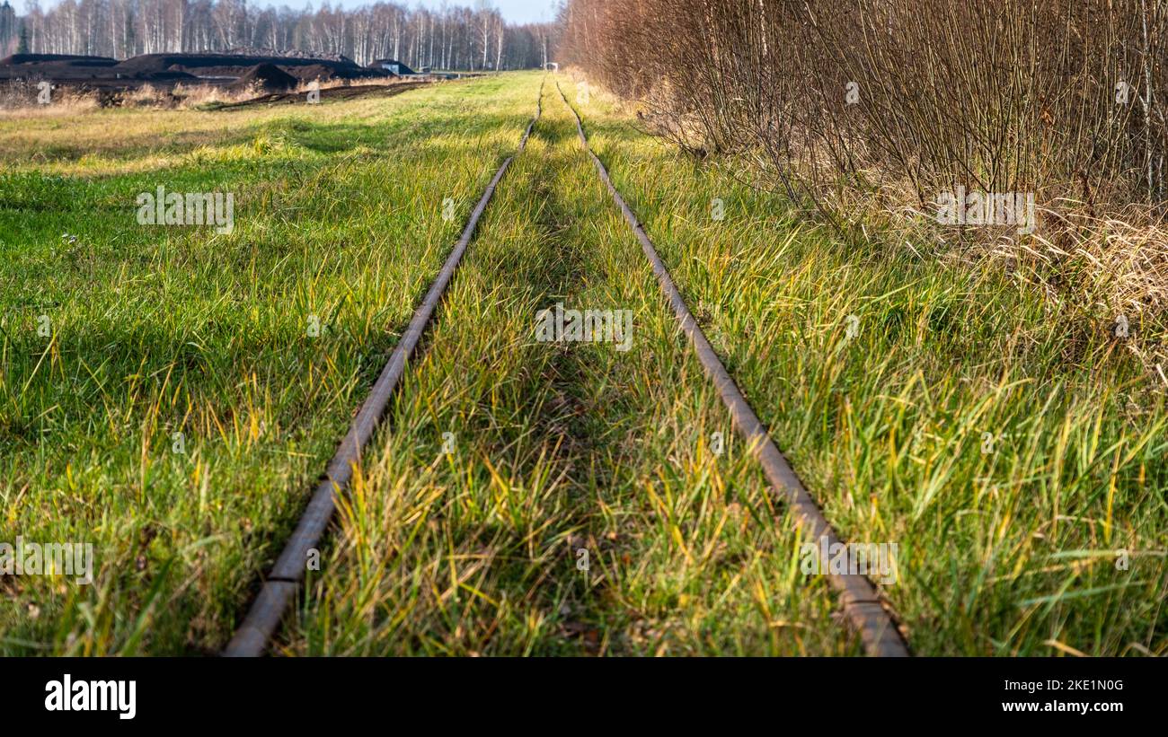 Narrow gauge railway in the forest. Peat extraction site, bog. Retro ...