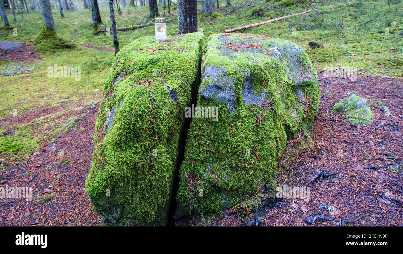 Big stone in the forest, covered with green moss and autumn forest. The ...