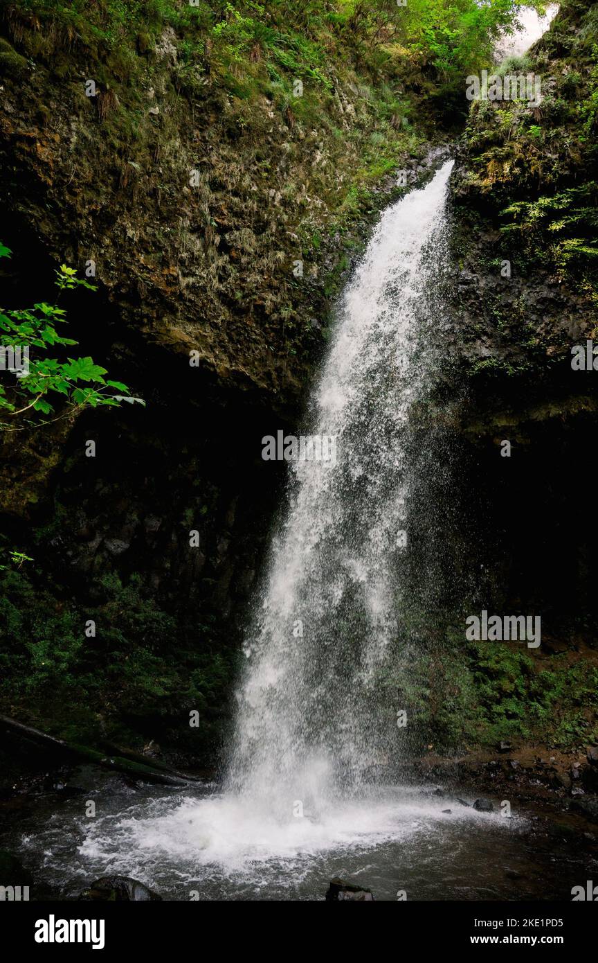A vertical image of a waterfall in a forest in summer around Corbett ...
