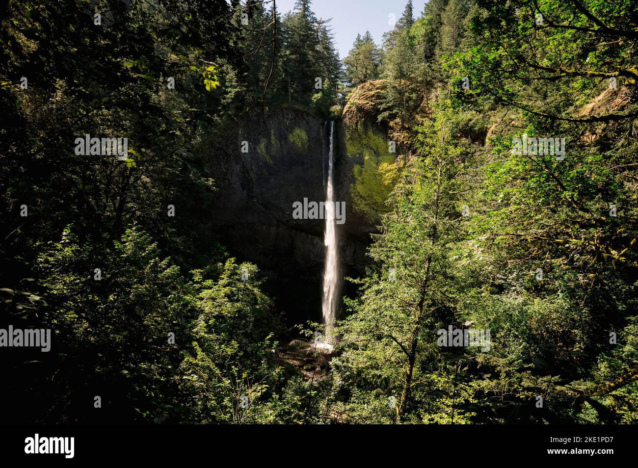 A horizontal image of a waterfall in a forest in summer around Corbett ...
