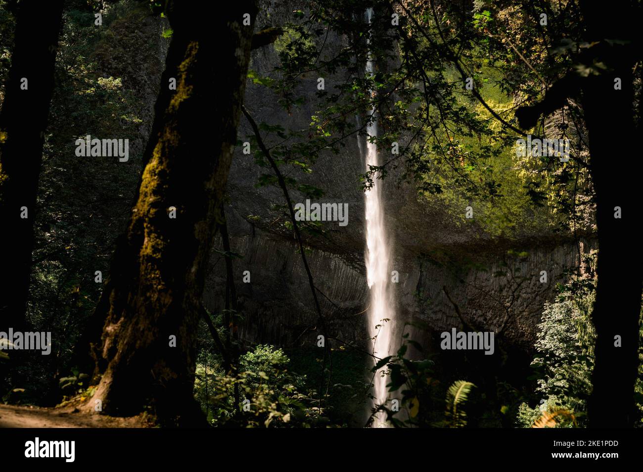 A horizontal image of a waterfall in a forest in summer around Corbett ...