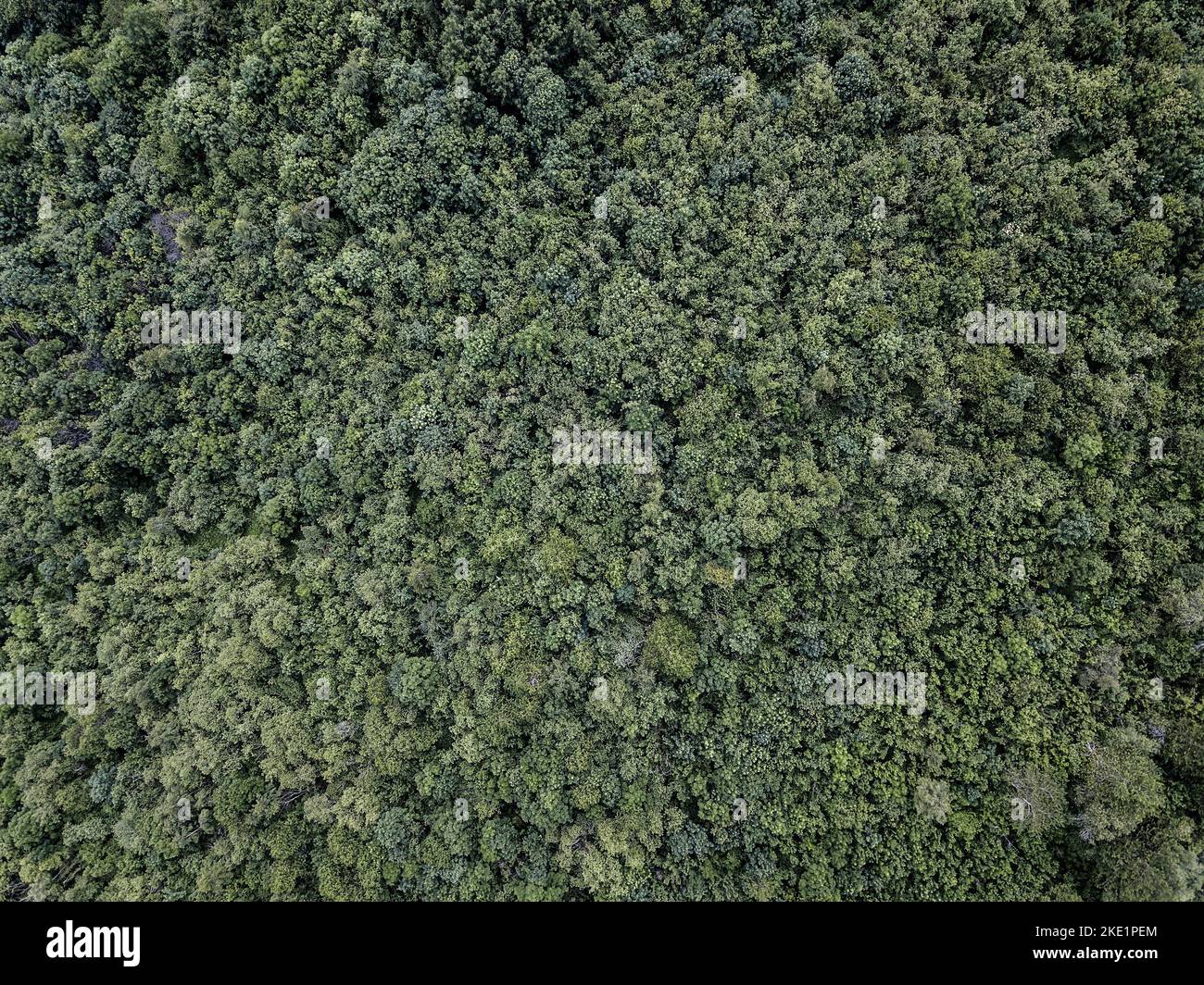 Anthropocene and climate change Stock Photo - Alamy