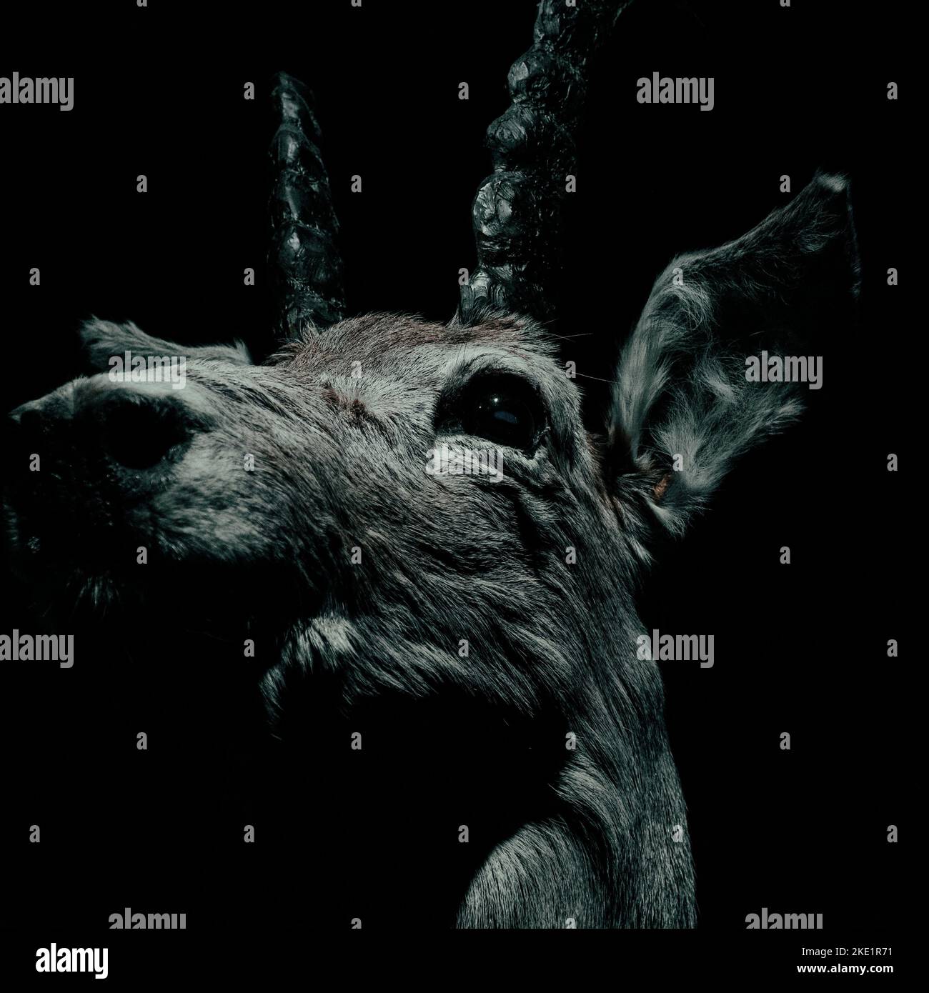 Twilight wedge hi-res stock photography and images - Alamy