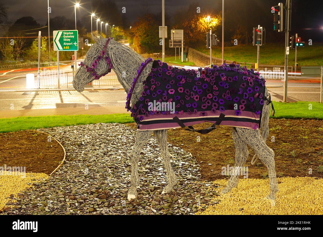Purple poppy horse coat hi-res stock photography and images - Alamy