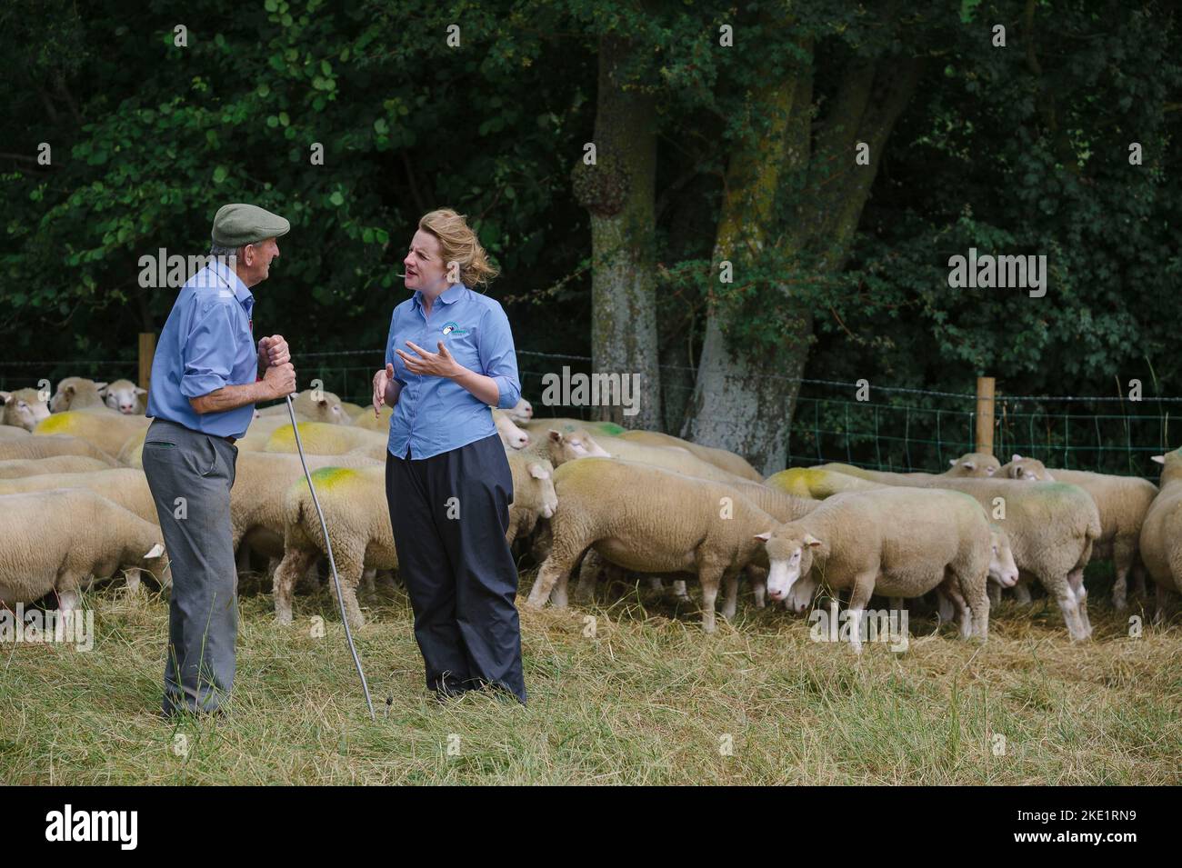 Picture By Jim Wileman - Emily Gascoigne, sheep vet, pictured on ...