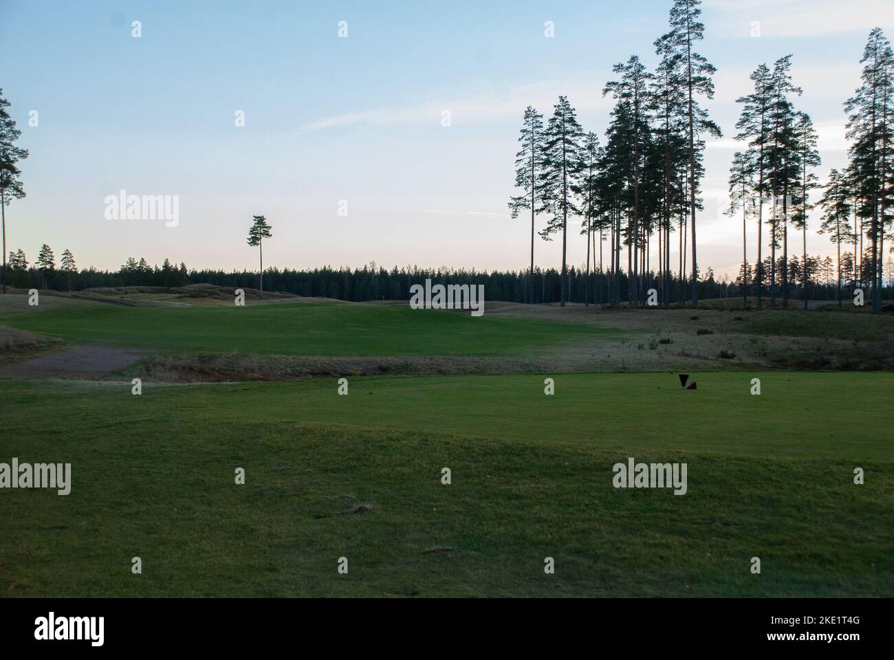 A natural view of a green field and forest landscape during sunset ...