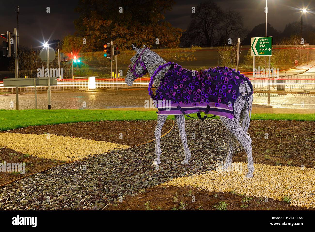 Purple poppy horse coat hi-res stock photography and images - Alamy