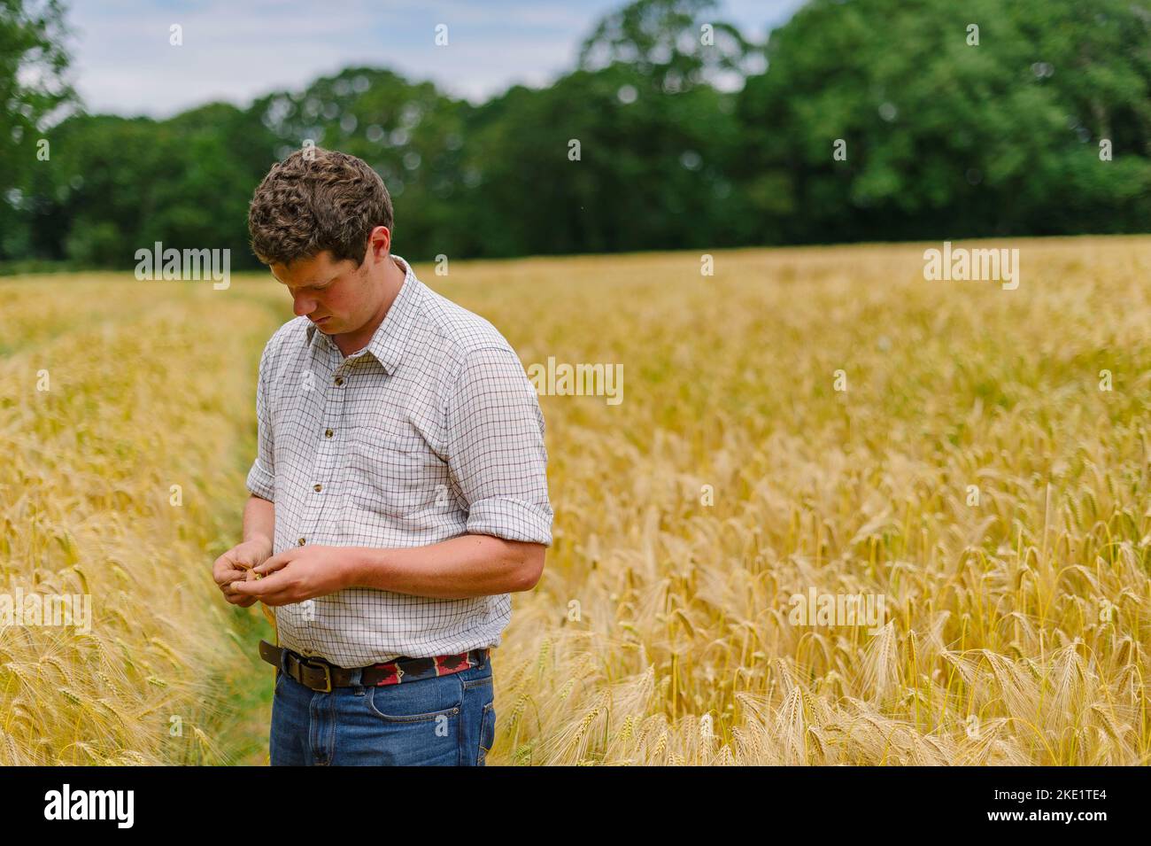 Picture By Jim Wileman - Farm Manager Tom Chanter, pictured in Woodbury ...