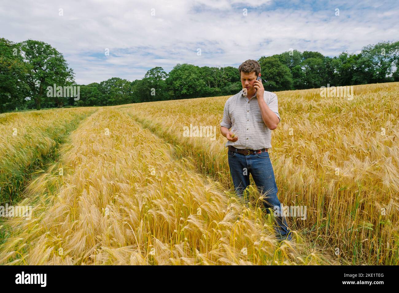 Picture By Jim Wileman - Farm Manager Tom Chanter, pictured in Woodbury ...