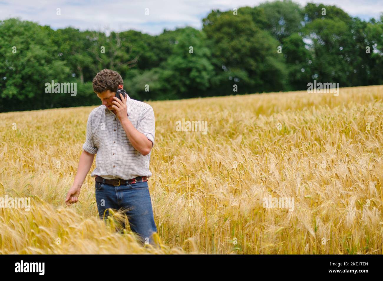 Picture By Jim Wileman - Farm Manager Tom Chanter, pictured in Woodbury ...