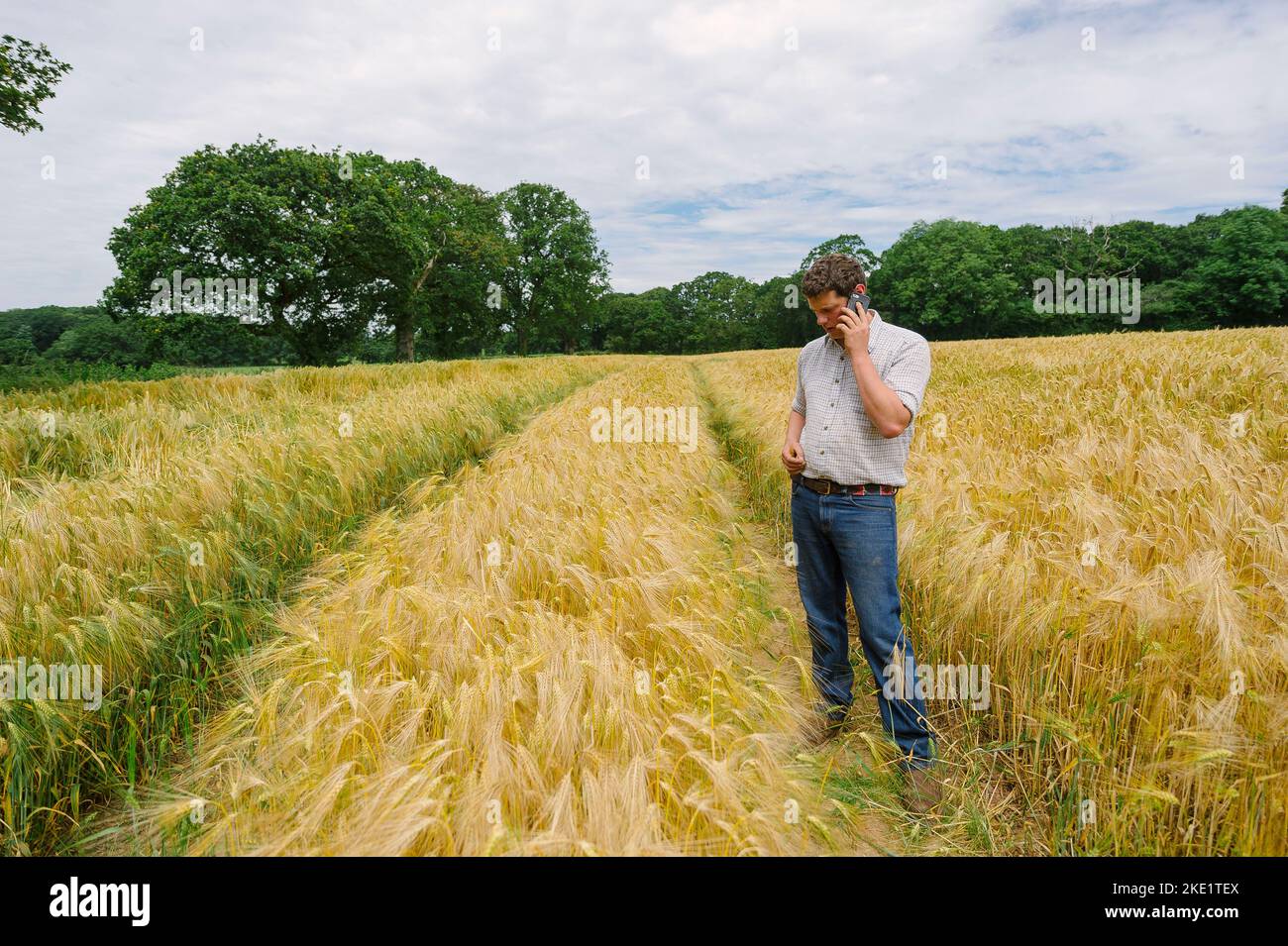 Picture By Jim Wileman - Farm Manager Tom Chanter, pictured in Woodbury ...
