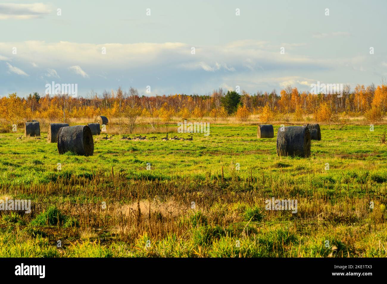 Copper recycling plant hi-res stock photography and images - Alamy