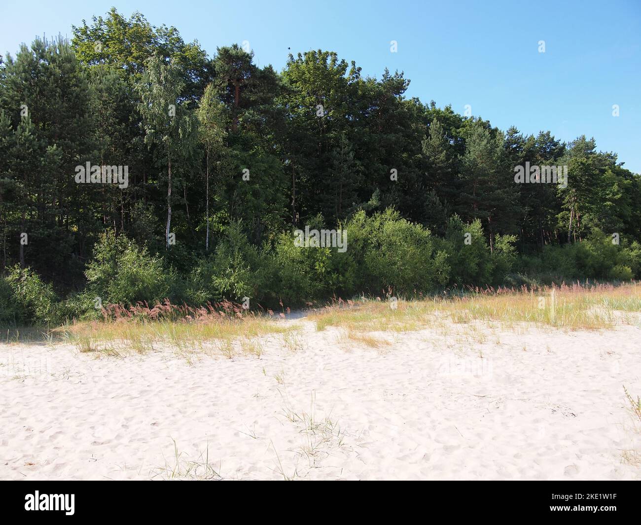 Jūrmala Beach (Republic of Latvia Stock Photo - Alamy