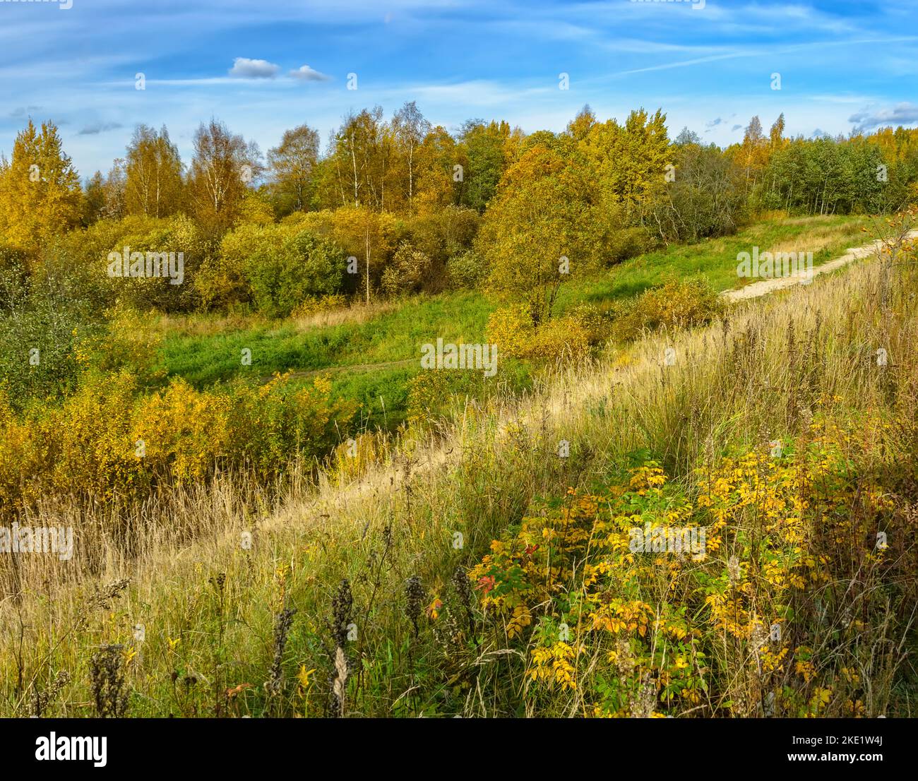 Autumn landscape of the Sablinsky Reserve in the Leningrad Region Stock ...