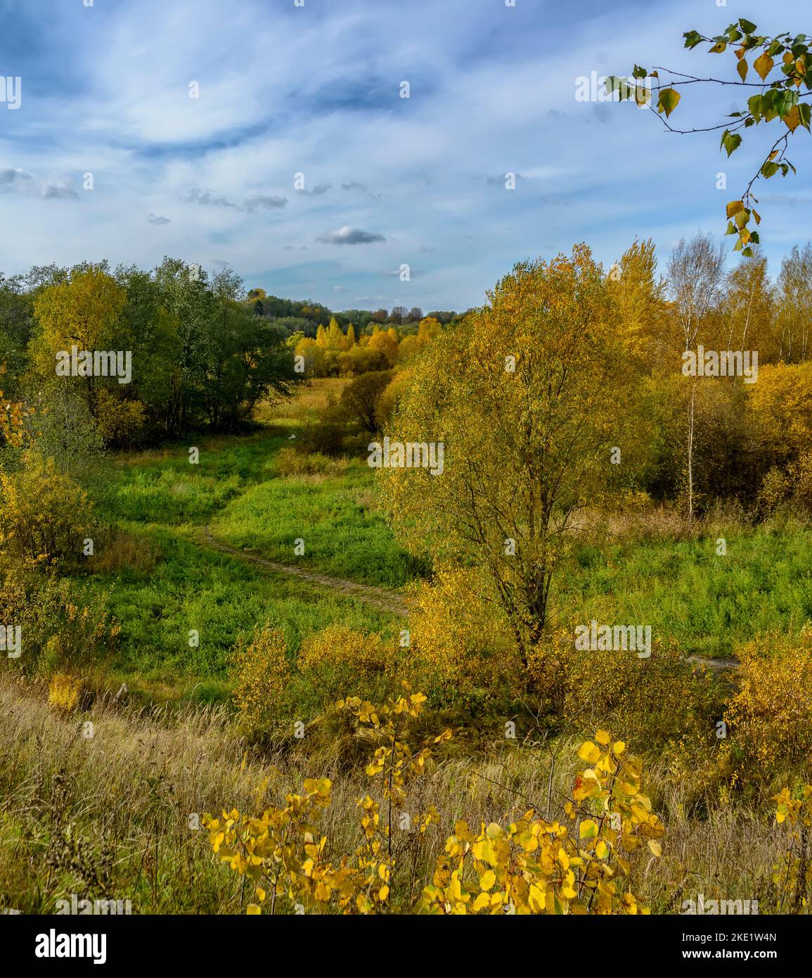 Autumn landscape of the Sablinsky Reserve in the Leningrad Region Stock ...