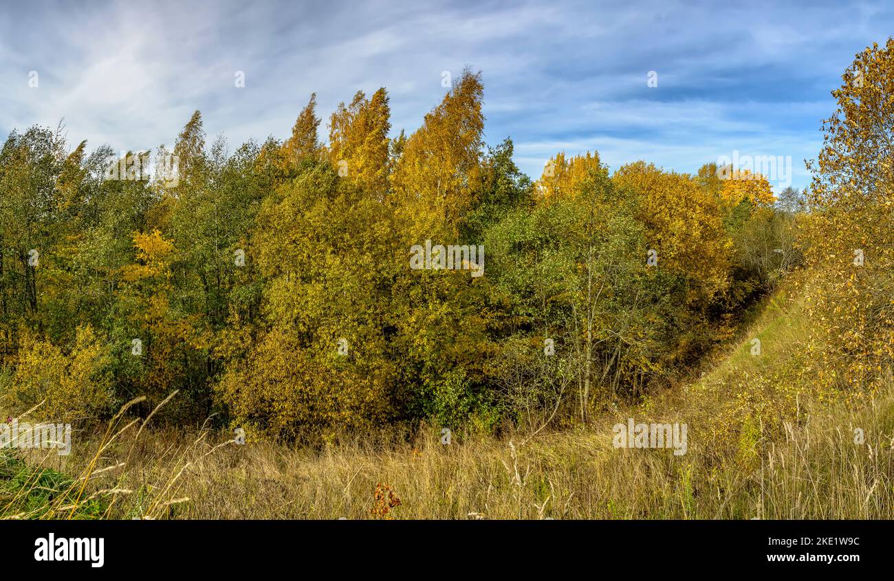 Autumn landscape of the Sablinsky Reserve in the Leningrad Region Stock ...