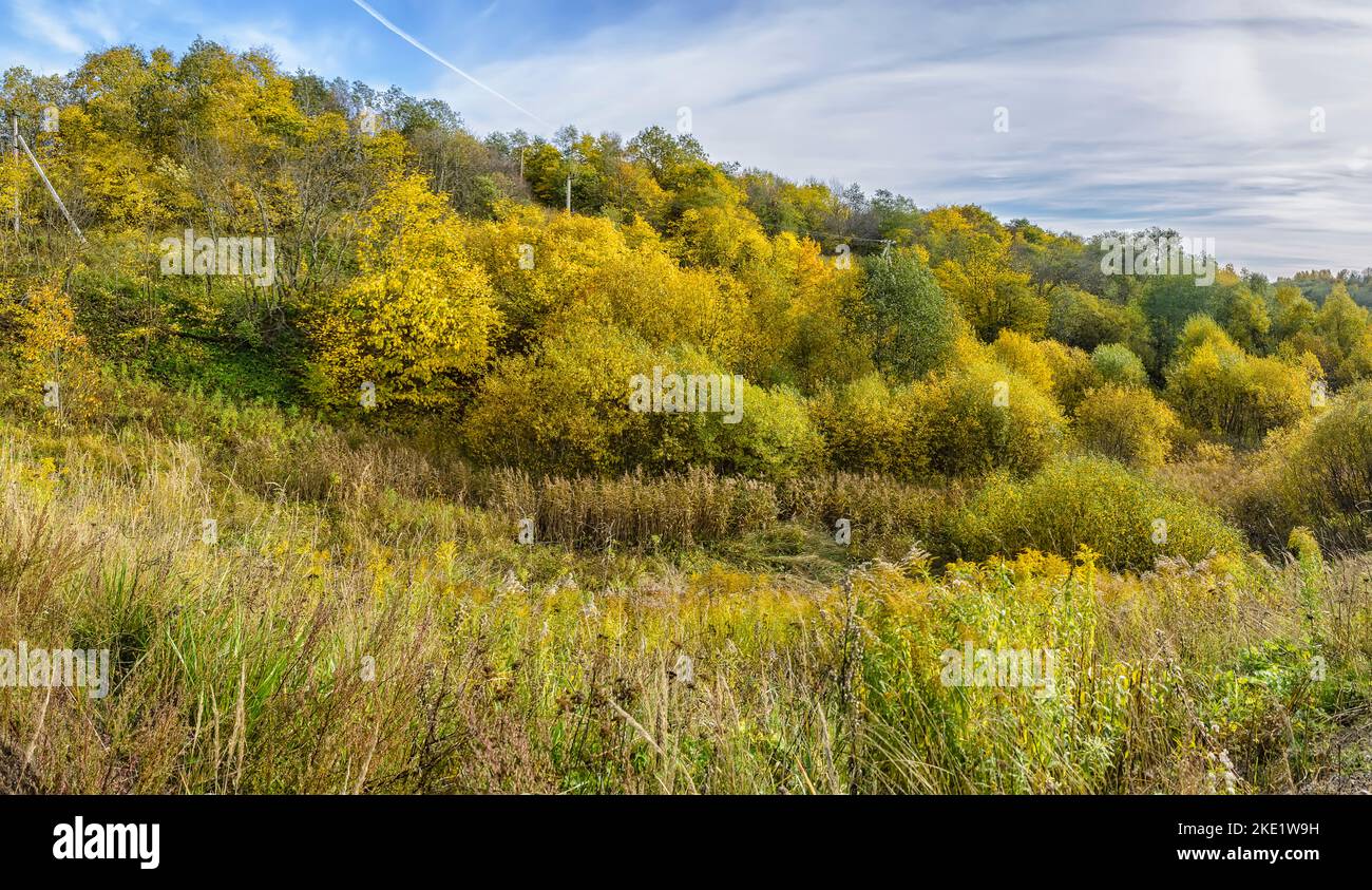 Autumn landscape of the Sablinsky Reserve in the Leningrad Region Stock ...