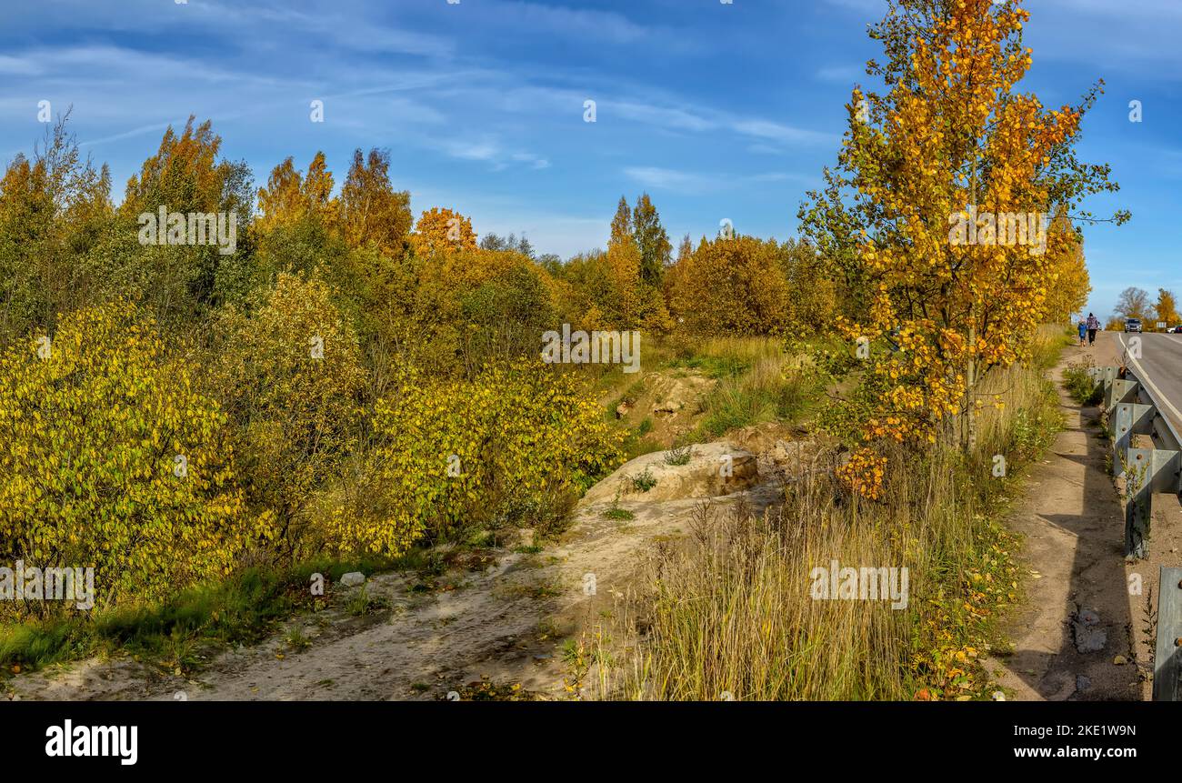 Autumn landscape of the Sablinsky Reserve in the Leningrad Region Stock ...
