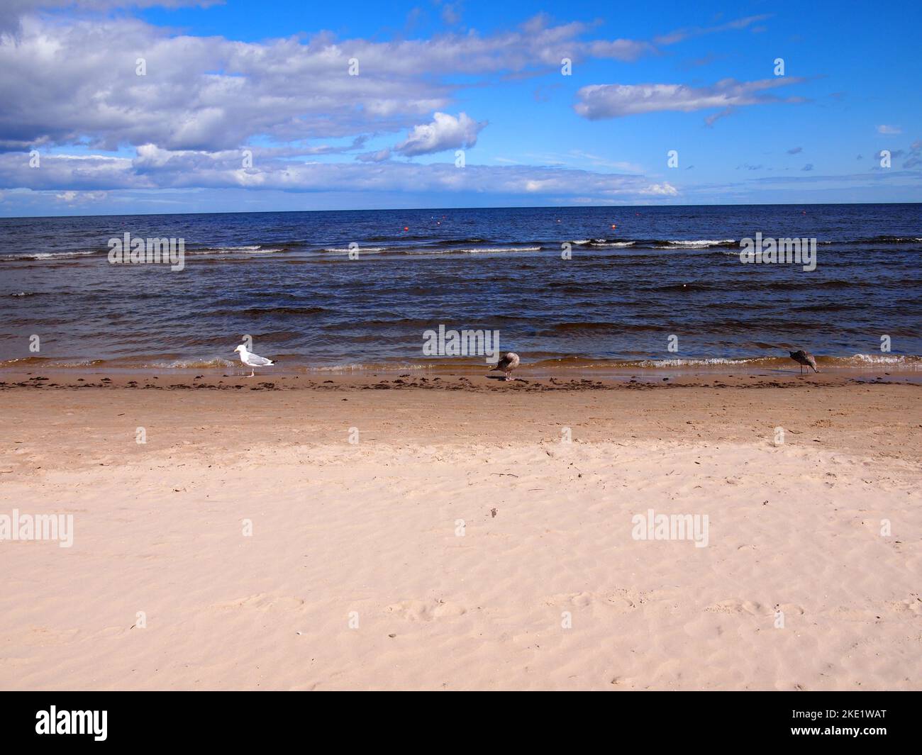 Majori Beach (Jūrmala, Republic of Latvia Stock Photo - Alamy