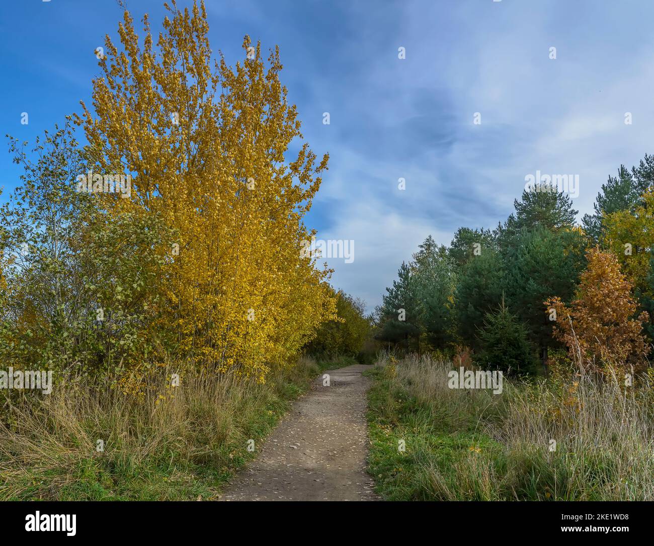 Autumn landscape of the Sablinsky Reserve in the Leningrad Region Stock ...