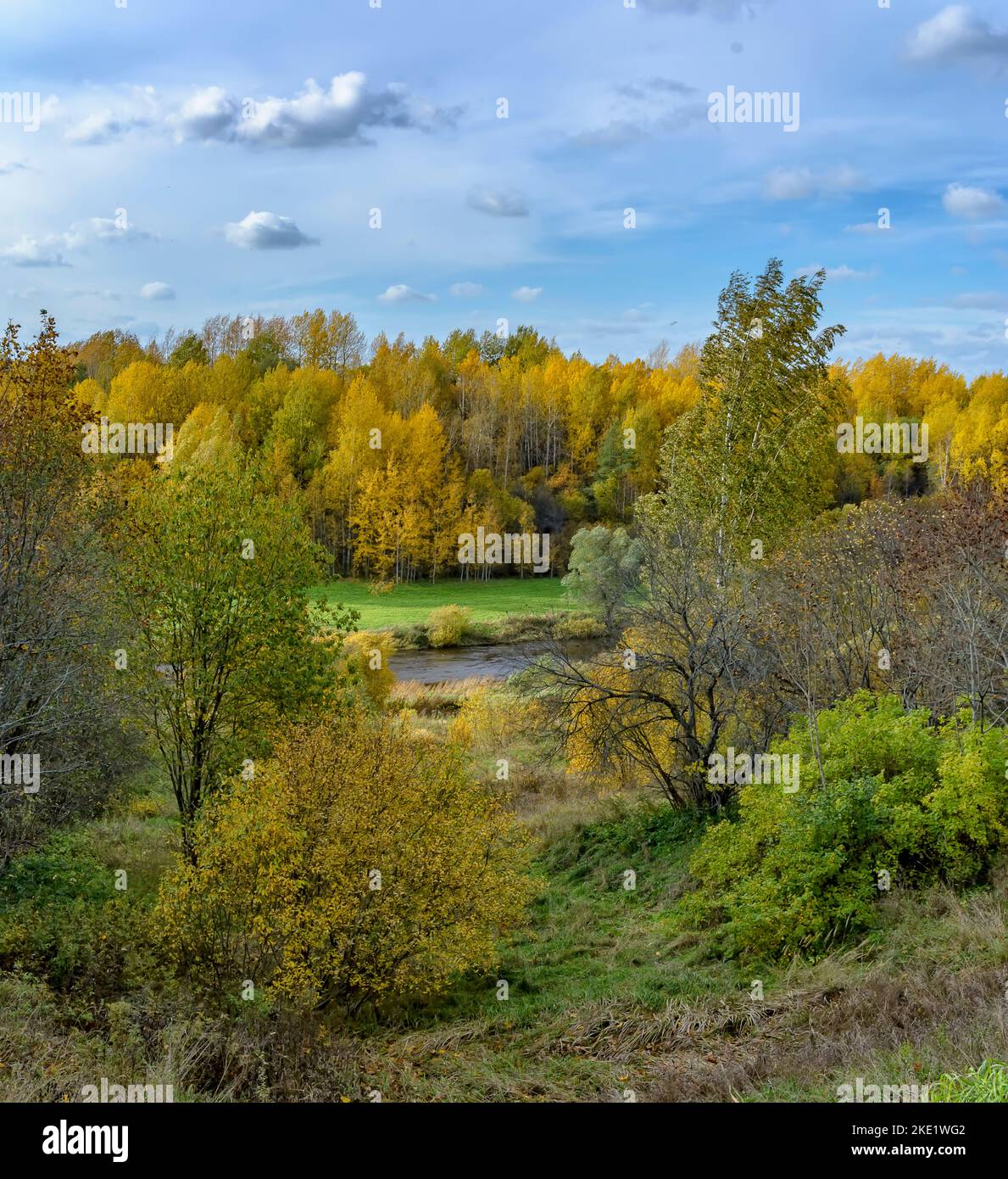 View of the river Tosna in the Sablinsky reserve in the Leningrad ...