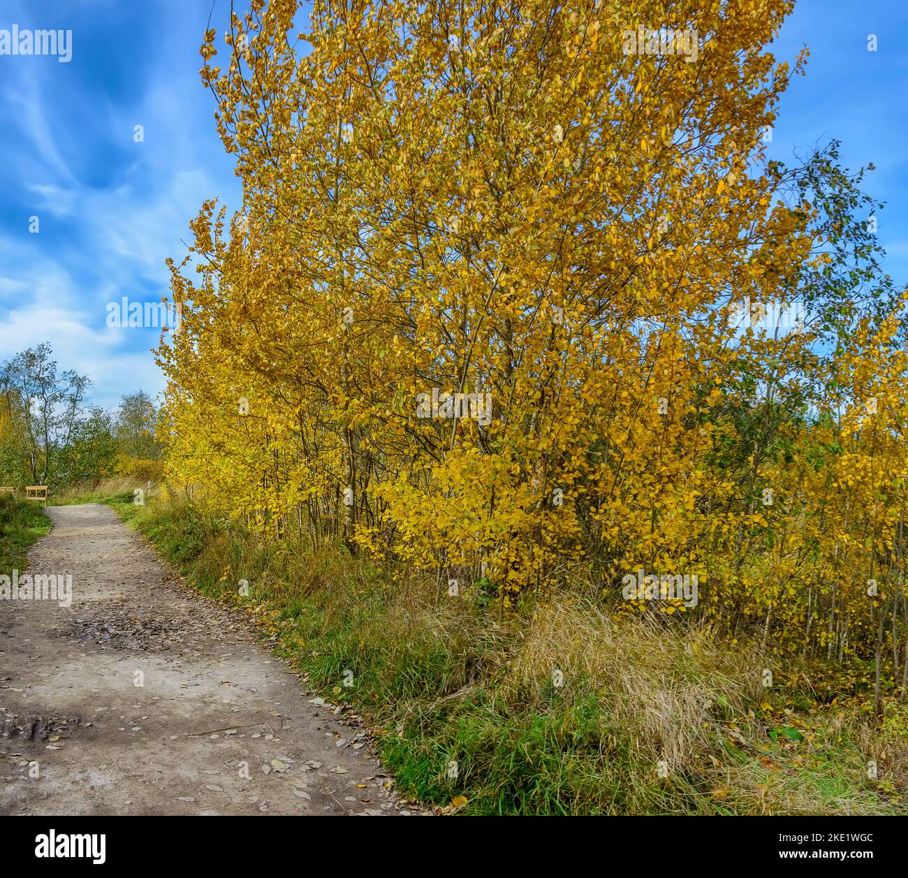 Autumn landscape of the Sablinsky Reserve in the Leningrad Region Stock ...