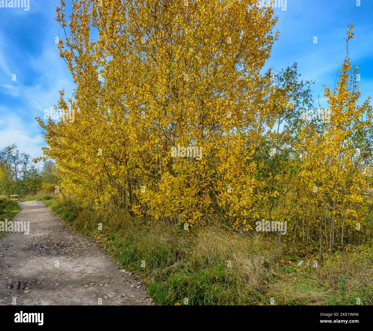 Autumn landscape of the Sablinsky Reserve in the Leningrad Region Stock ...