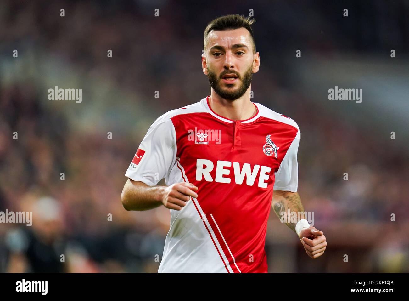 COLOGNE, GERMANY - NOVEMBER 9: Sargis Adamyan of 1. FC Koln during the ...