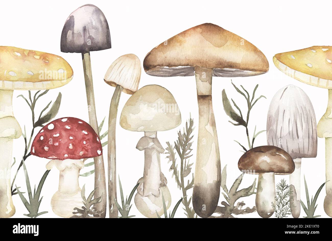 Watercolor fungi seamless border with real fern leaves composition ...
