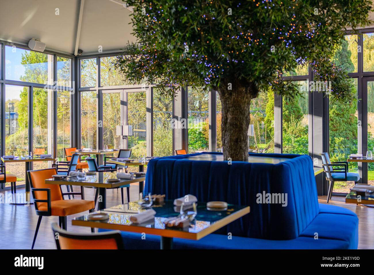 An interior of a modern restaurant with panoramic windows and a tree in ...
