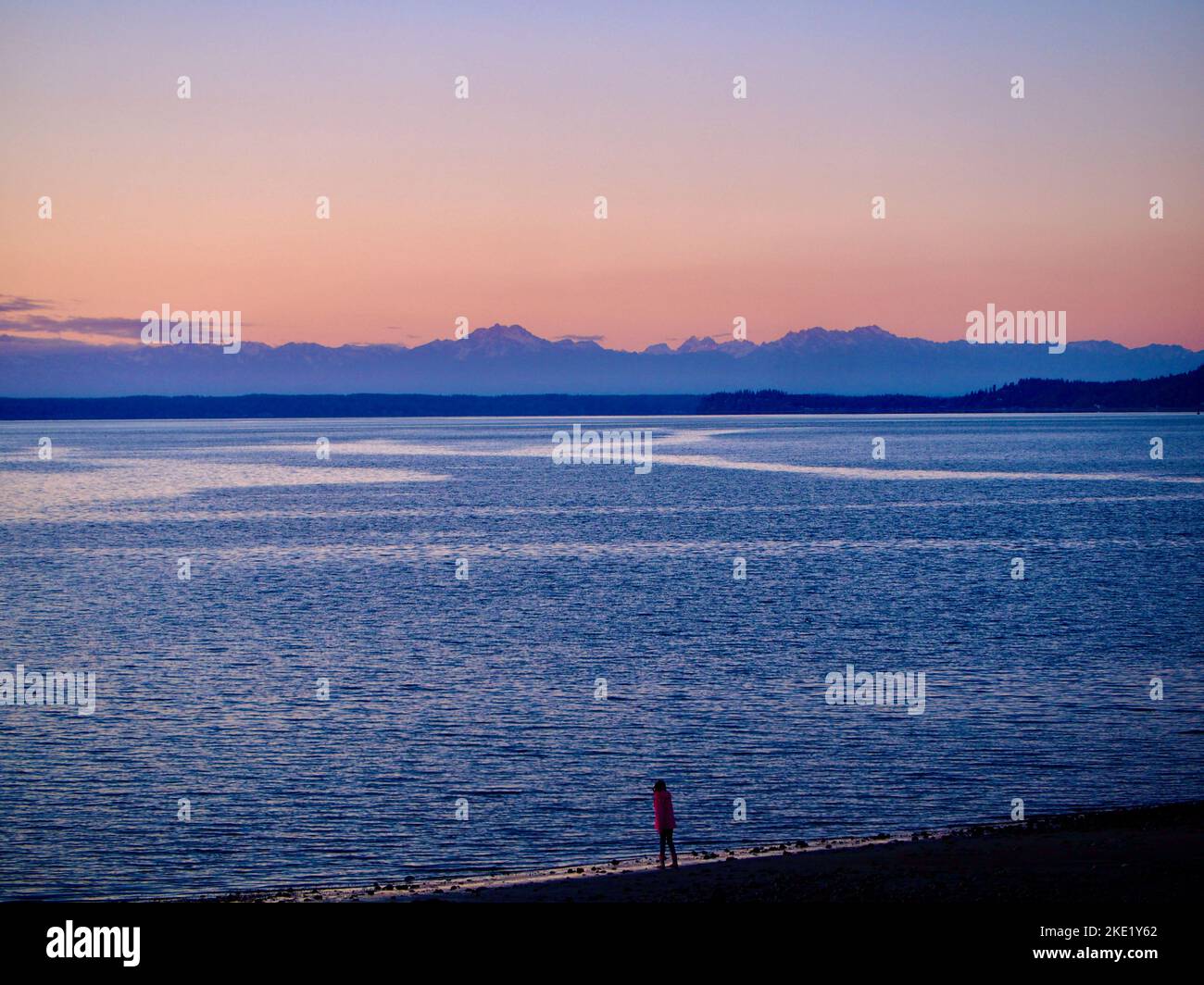 Steilacoom beach hi-res stock photography and images - Alamy