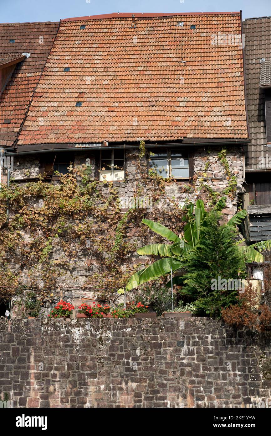 Gernsbach, Germany: historical medieval house at the city wall Stock ...