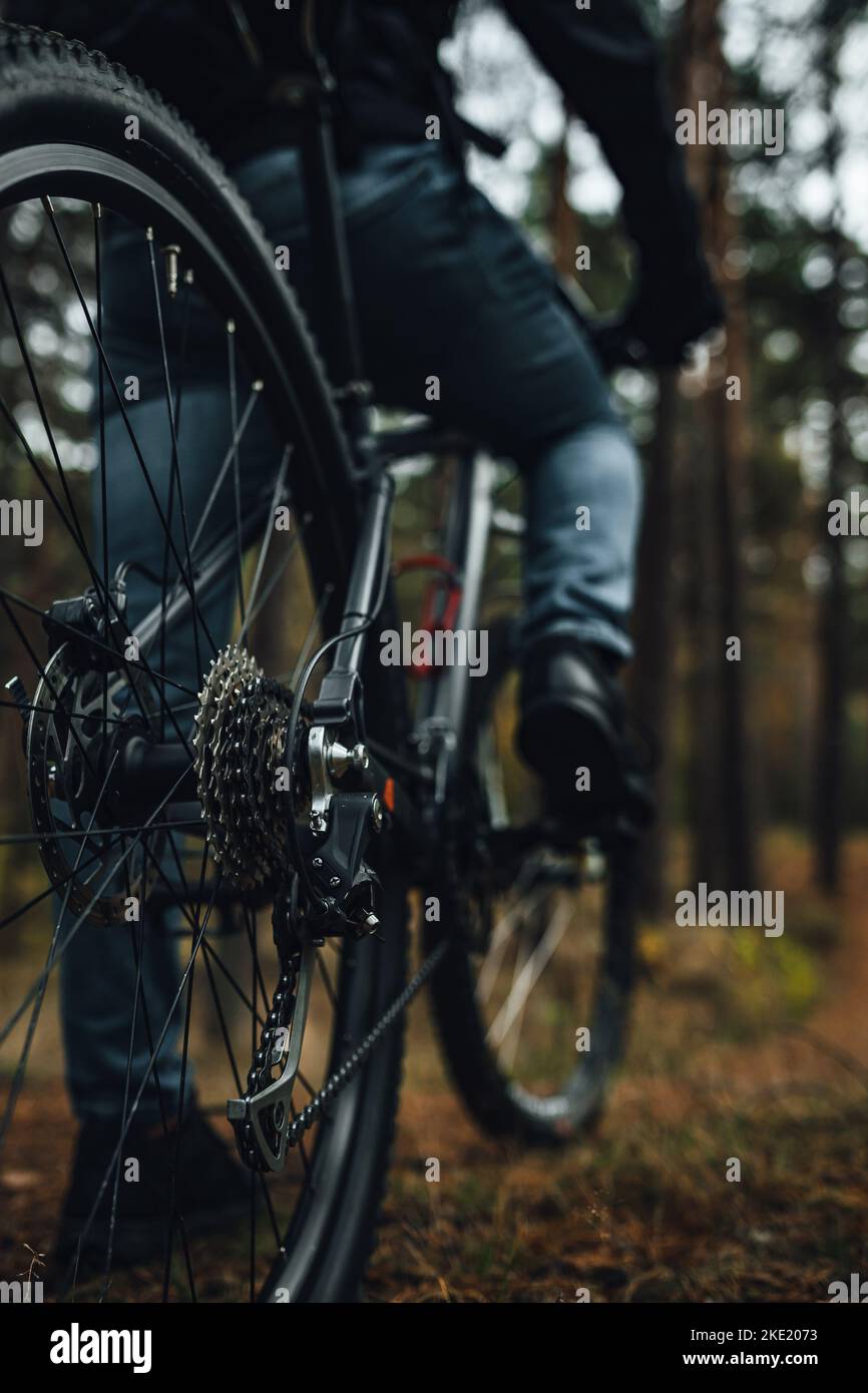 The rear wheel of a mountain bike in the forest Stock Photo - Alamy