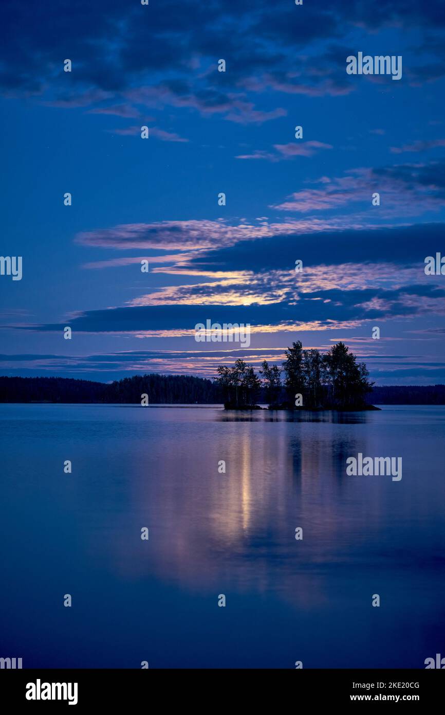 A vertical shot of a lake reflecting the moonlight with trees and a ...