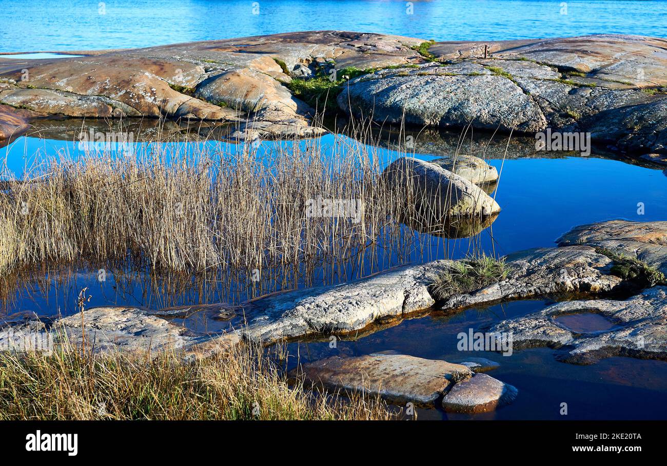 A scenic view of a rocky coast with blue ocean water and dry grass in ...